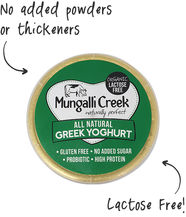Organic Lactose Free Greek Yoghurt - Mungalli Creek Bio-Dynamic Dairy