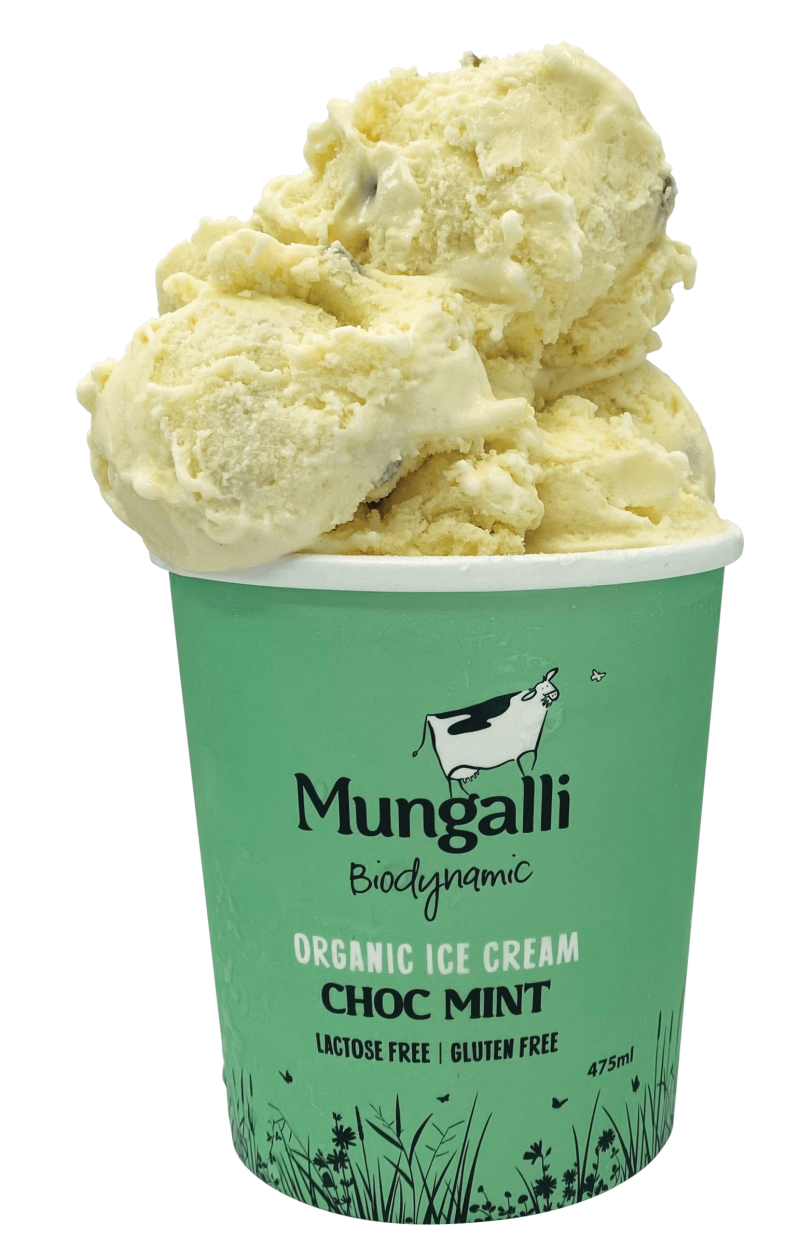 Choc Mint Ice Cream - Mungalli Creek Bio-Dynamic Dairy